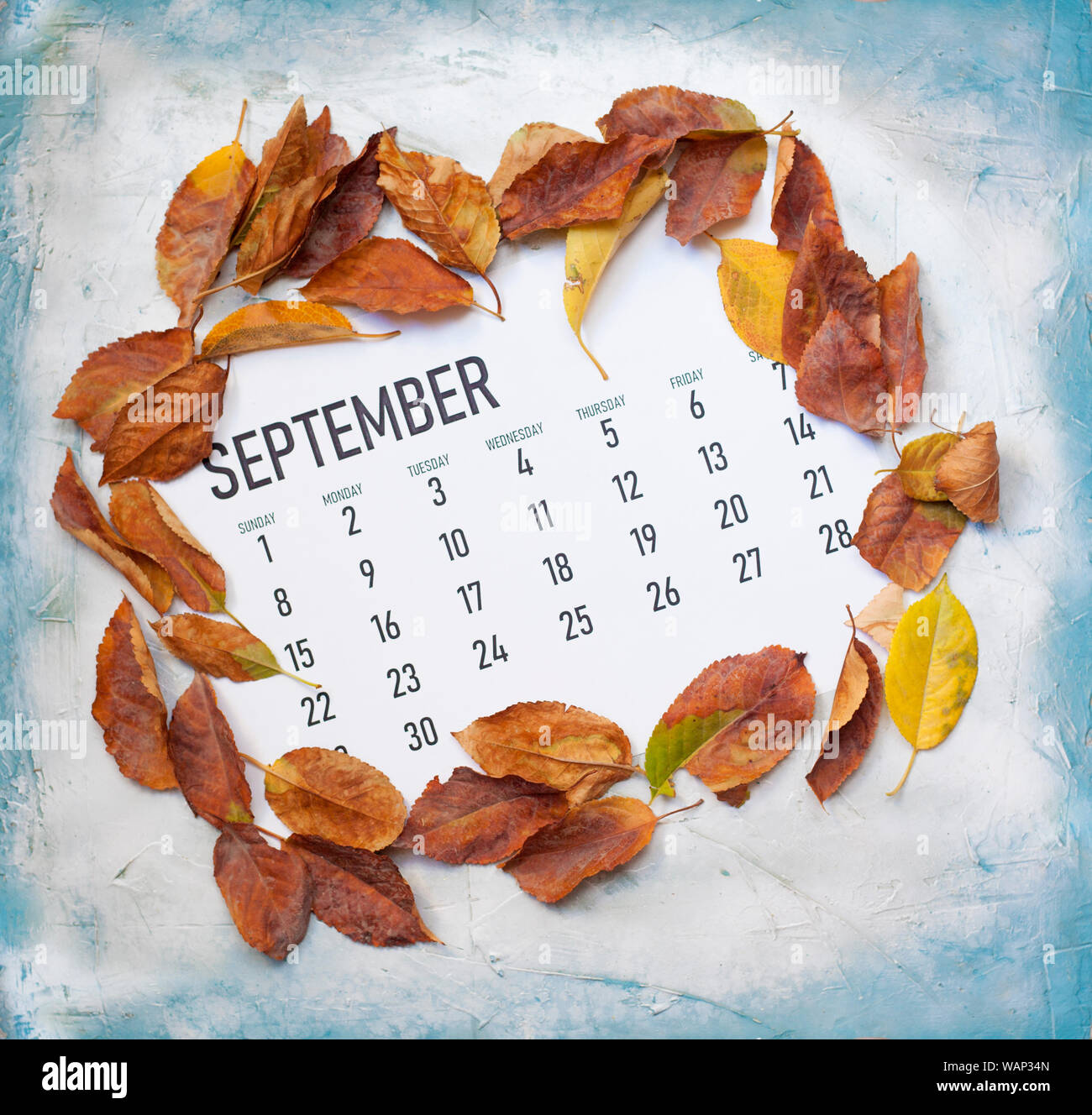 Simple 2019 September monthly calendar on the table with office ...