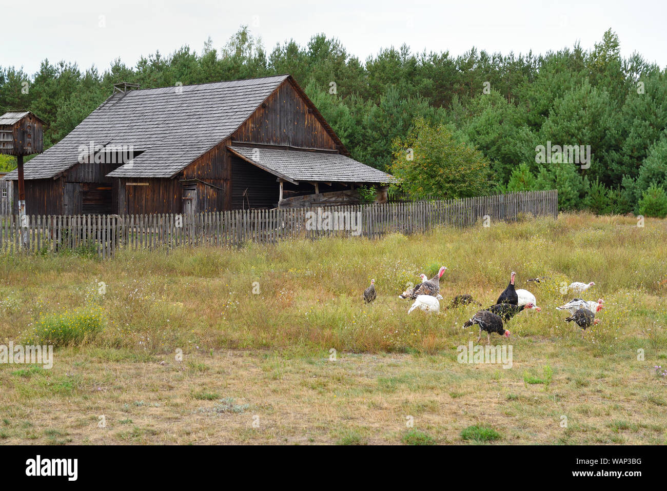 The Folk Culture Museum in Osiek by the river Notec, the open-air ...
