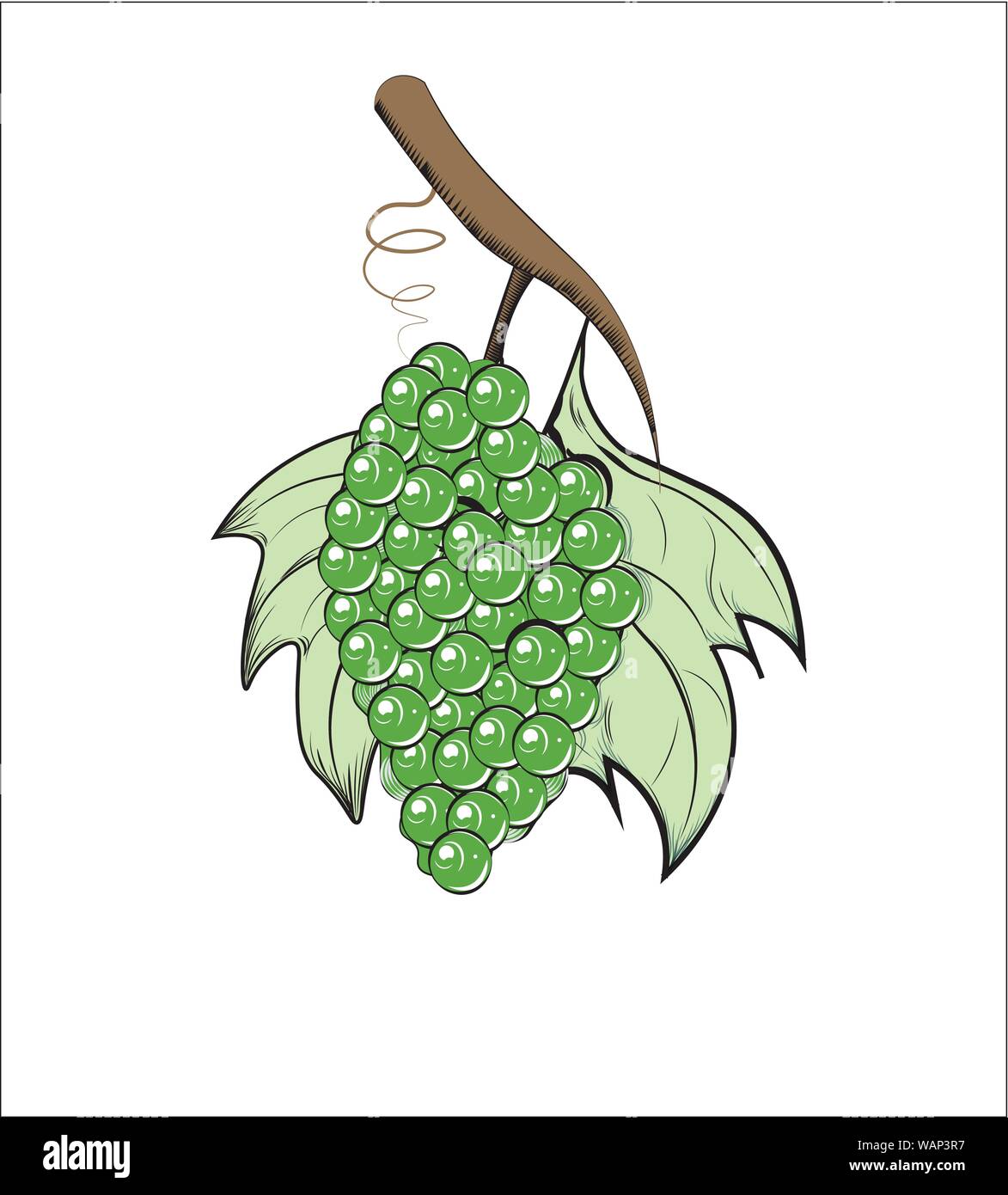 Bunch grapes on black Stock Vector Images - Alamy