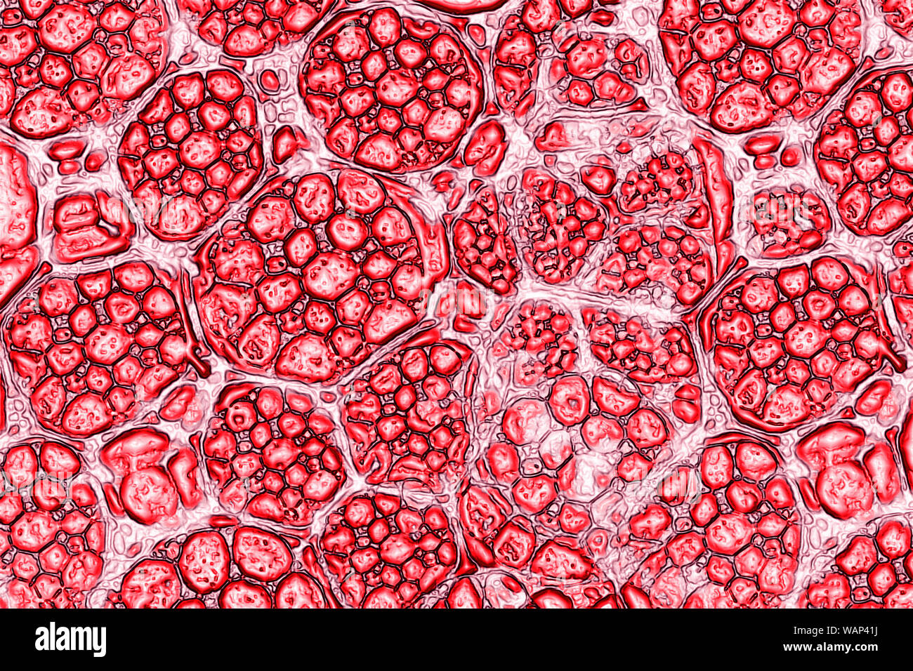 Biological Polymer High Resolution Stock Photography and Images - Alamy