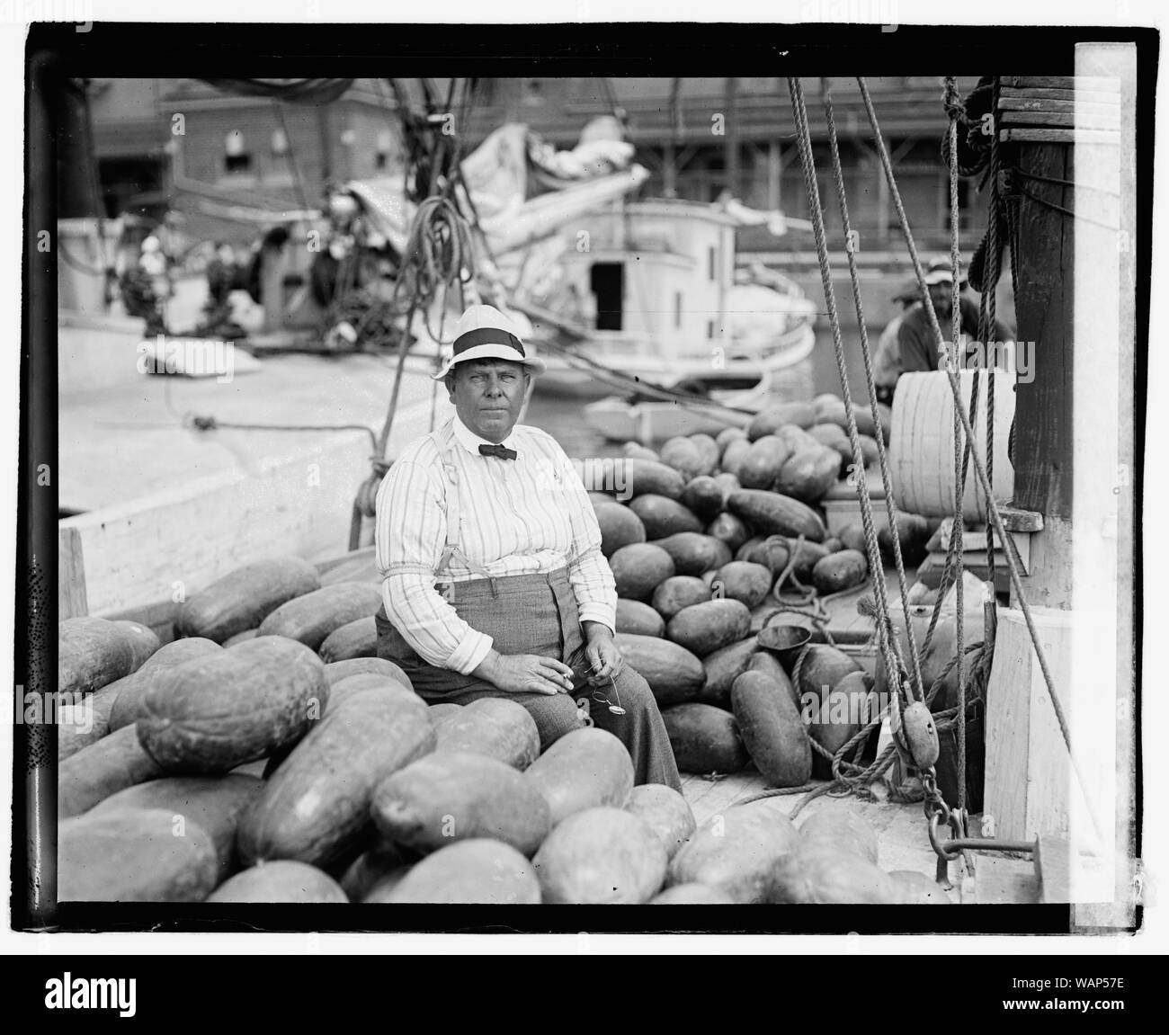 Faunce hi-res stock photography and images - Alamy