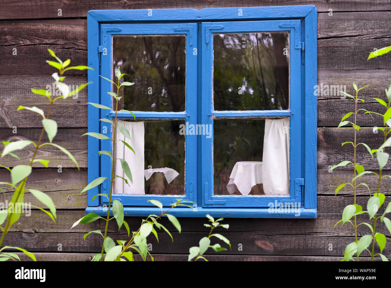 Blue window of old ethno house in The Folk Culture Museum in Osiek by ...
