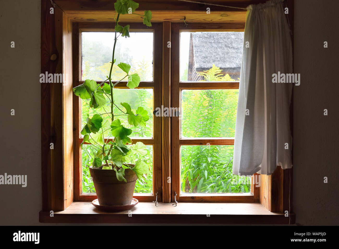 Window of old wooden farmstead in The Folk Culture Museum in Osiek by ...