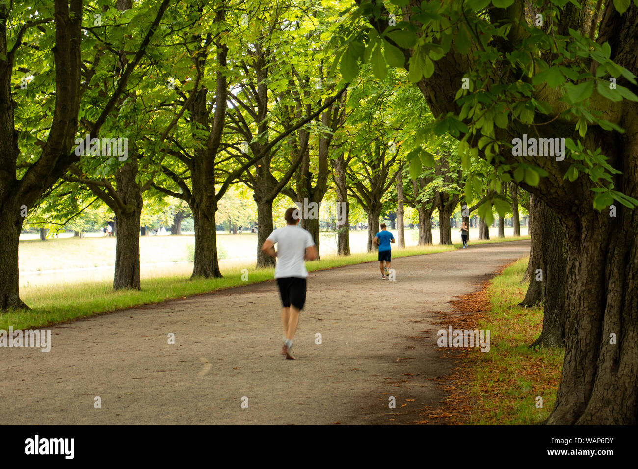 Male jogger fun hi-res stock photography and images - Alamy