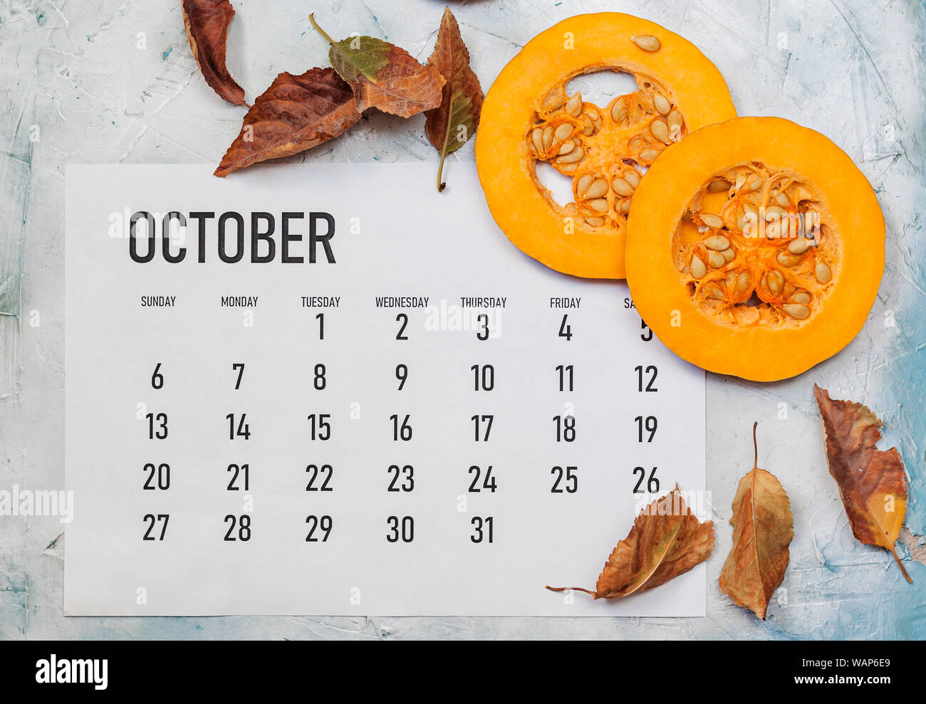 Fall concept. October 2019 Paper Calendar with round slices of pumpkin ...