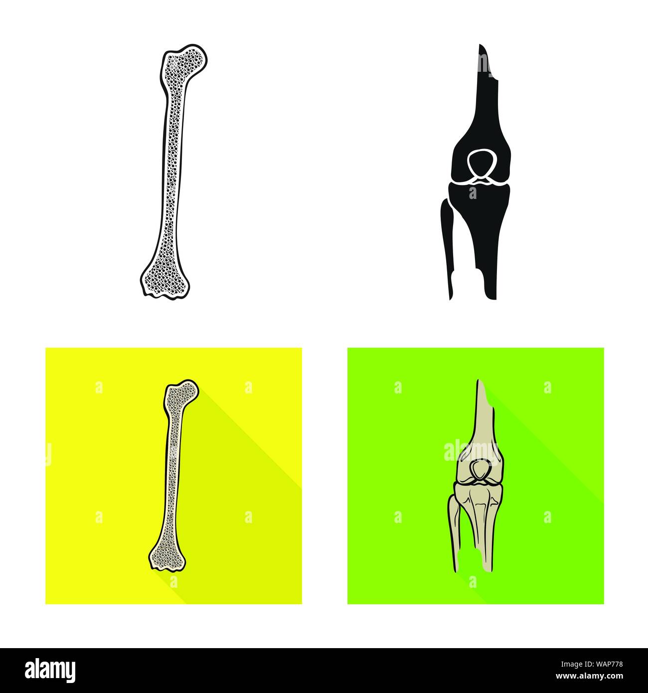 Vector illustration of medicine and clinic symbol. Set of medicine and ...
