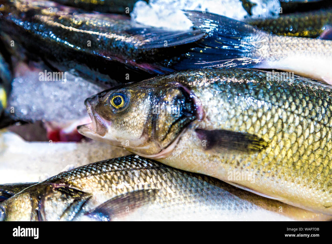Fresh fish at a market (Billingsgate Market, Docklands, London Stock ...