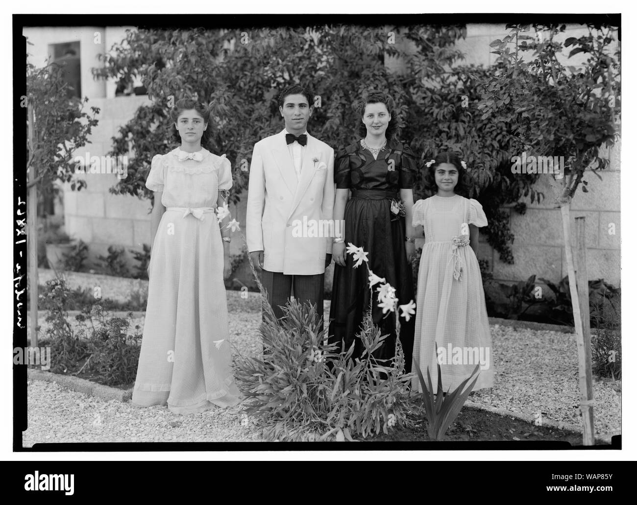 Dajani family groups Stock Photo - Alamy