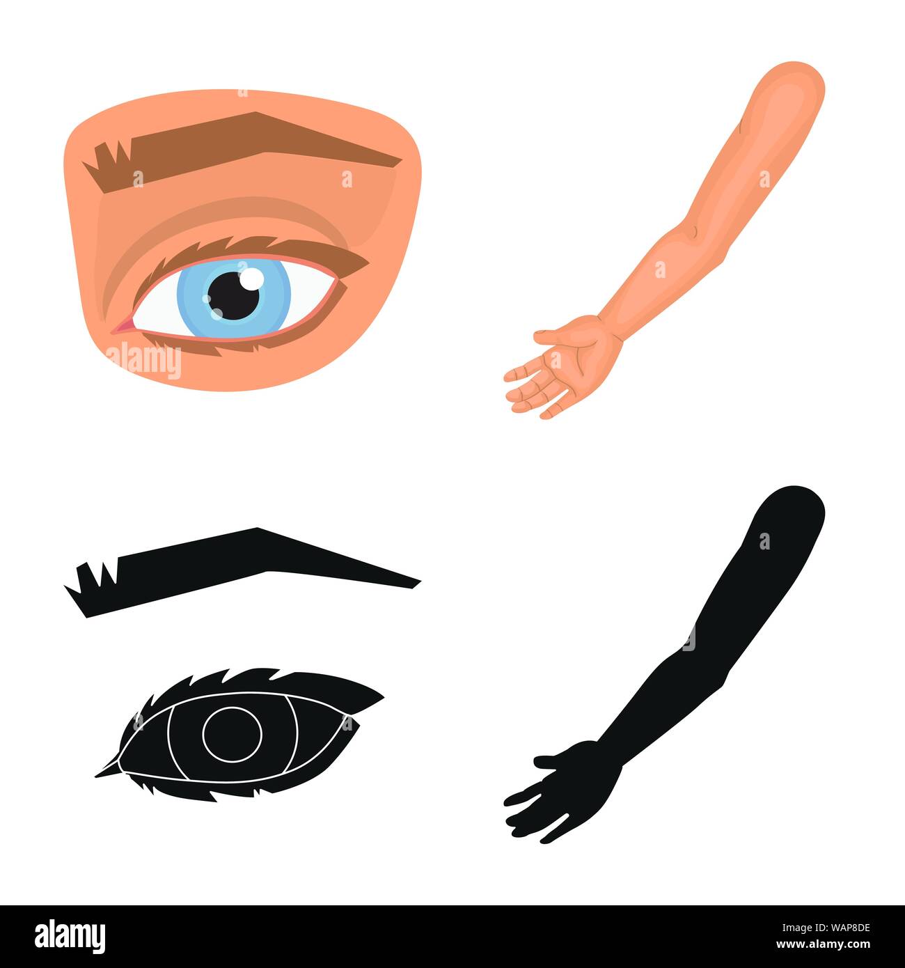 Isolated object of body and part sign. Set of body and anatomy stock ...