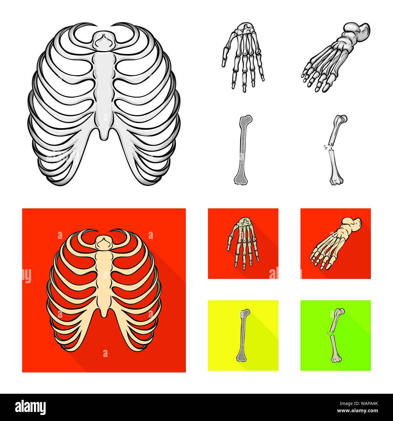 Vector illustration of medicine and clinic icon. Collection of medicine ...