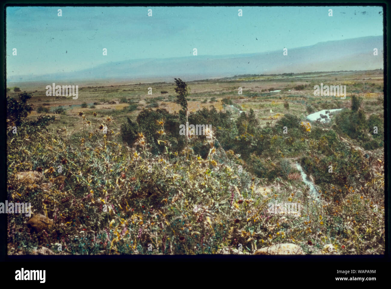 Damascus, Palmyra and Baalbek. Looking south from Dan Stock Photo - Alamy