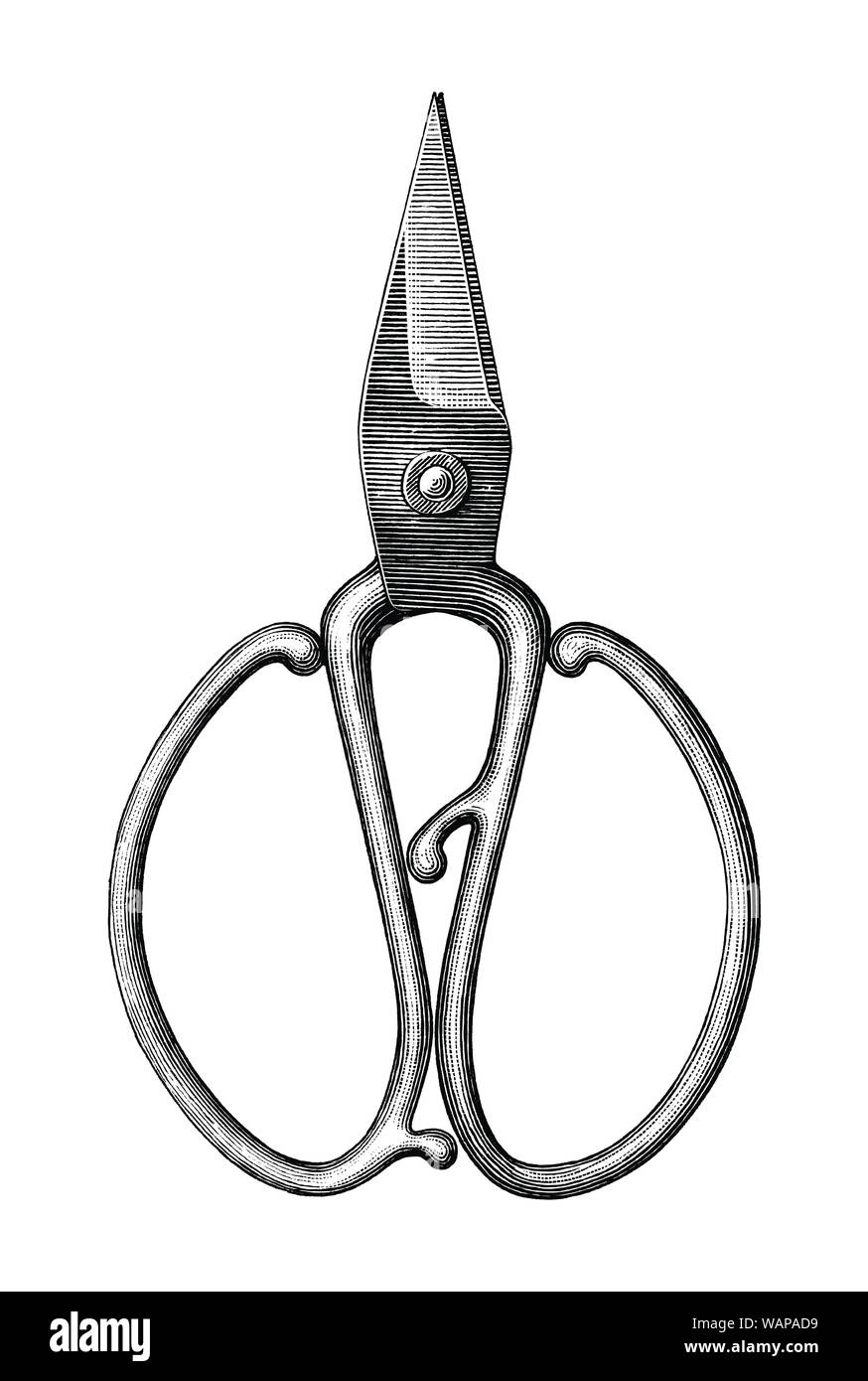 Item to draw with Cut Out Stock Images & Pictures - Alamy