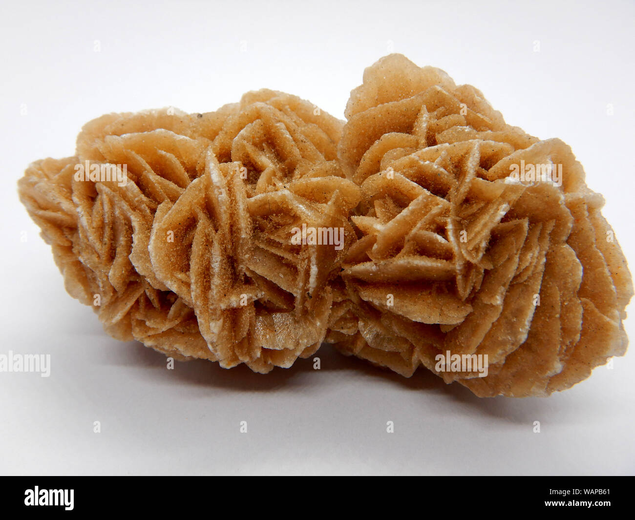 Desert rose crystal close-up isolated on white background Stock Photo ...