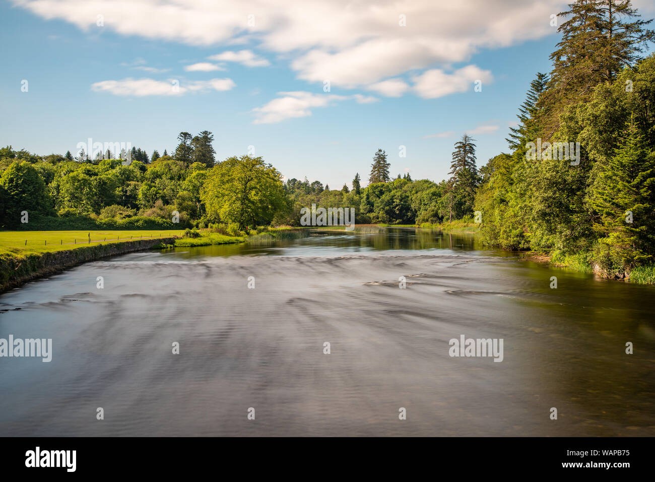 River and forest with reflections, Cong, Mayo, Ireland Stock Photo - Alamy