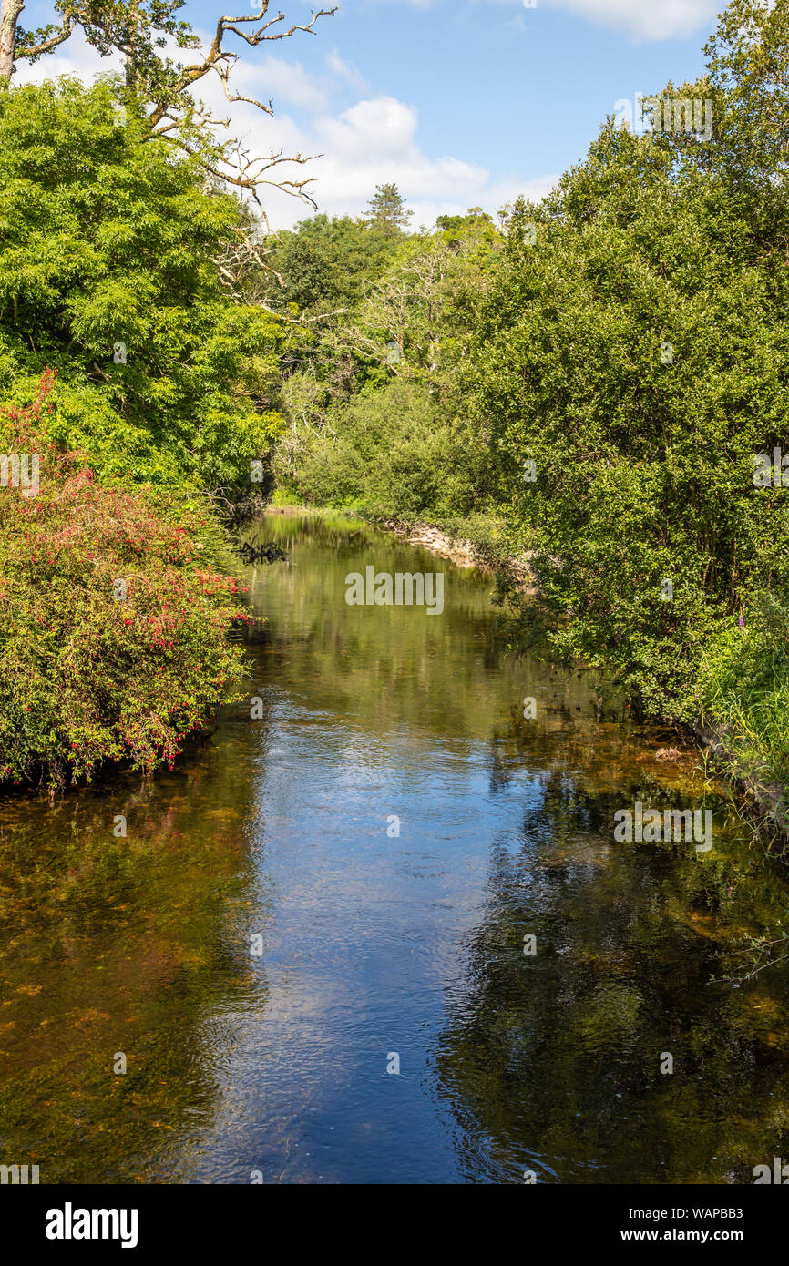 River and forest with reflections, Cong, Mayo, Ireland Stock Photo - Alamy