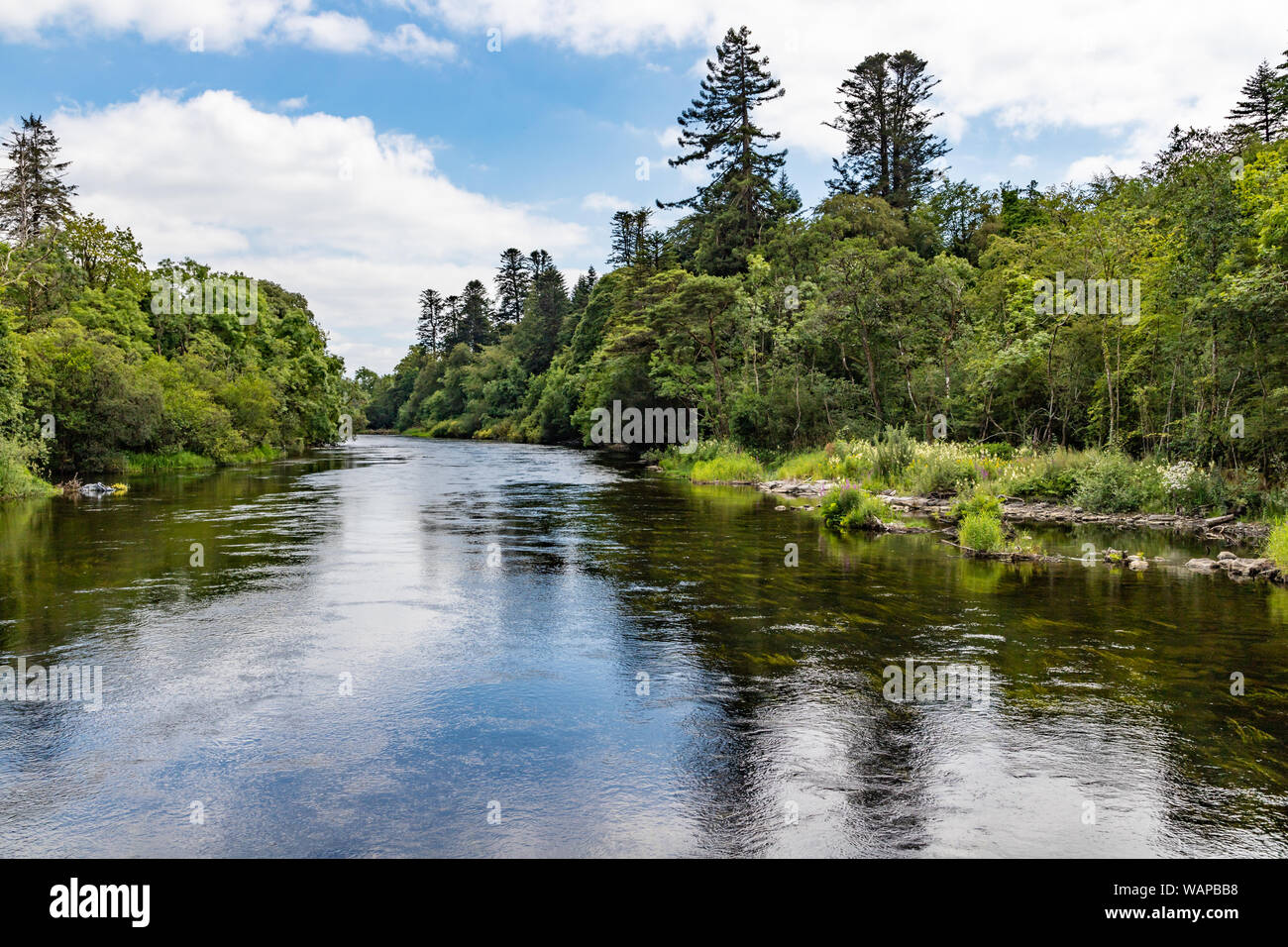 River and forest with reflections, Cong, Mayo, Ireland Stock Photo - Alamy