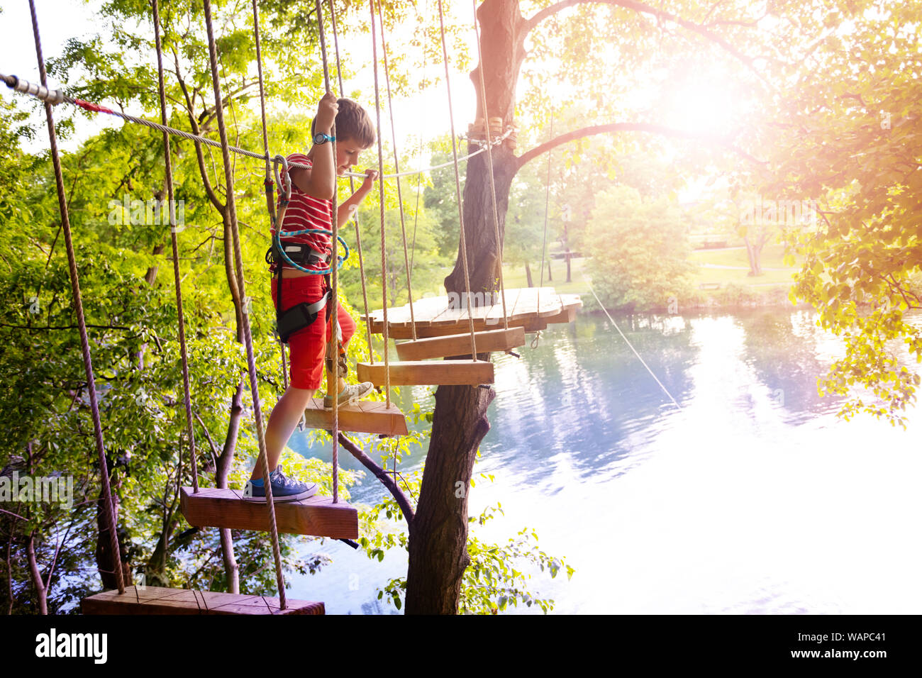 Rope adventure bridge for kids between trees Stock Photo - Alamy