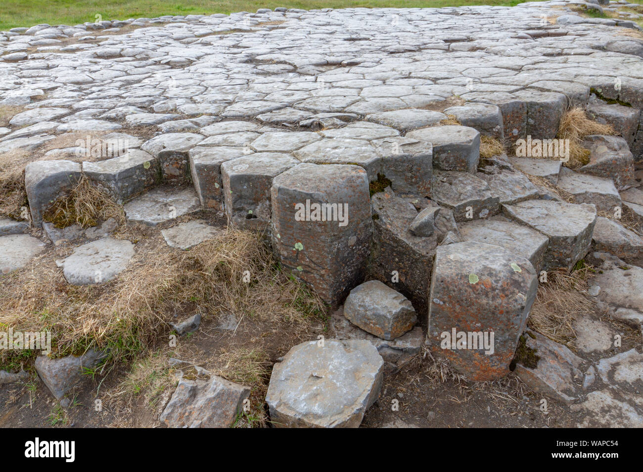 The basalt columns of Kirkjugólf (Church Floor), Kirkjubaejarklaustur ...