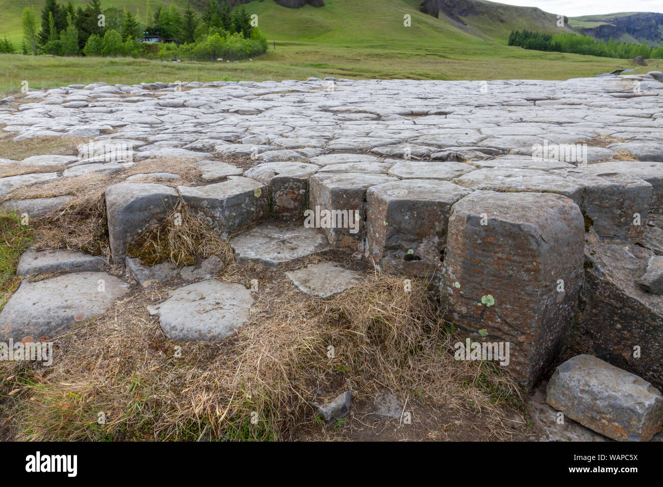 The basalt columns of Kirkjugólf (Church Floor), Kirkjubaejarklaustur ...