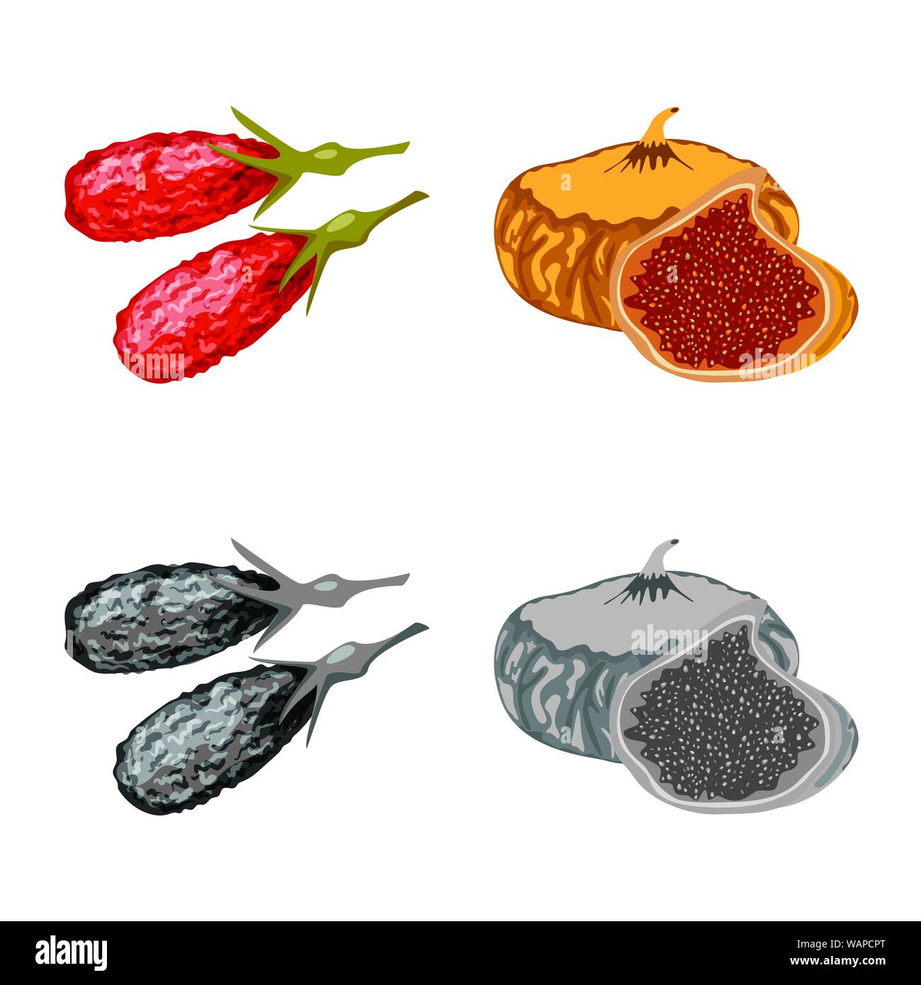 Vector illustration of food and raw logo. Collection of food and nature ...