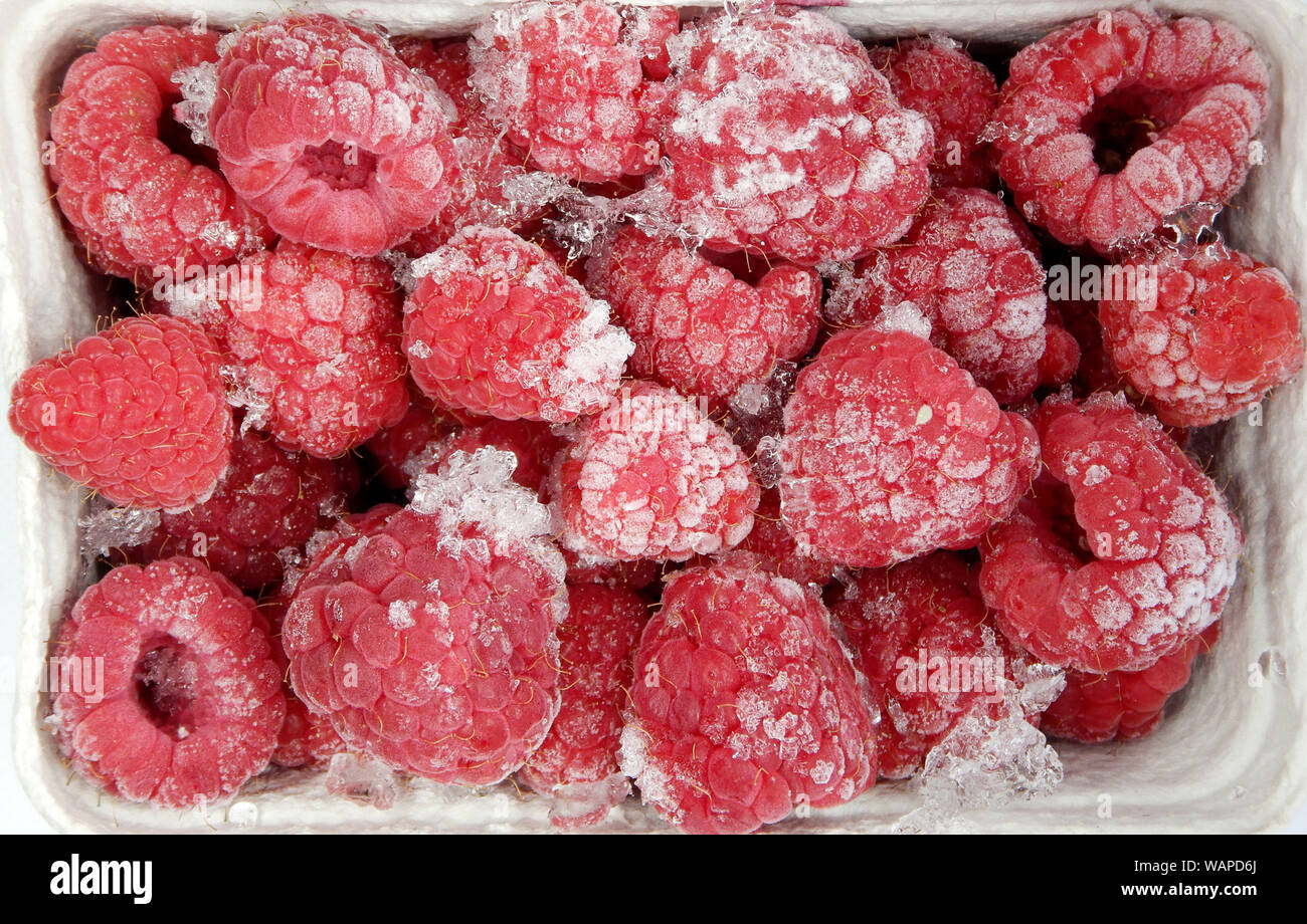Frozen raspberries, red berry fruits Stock Photo - Alamy