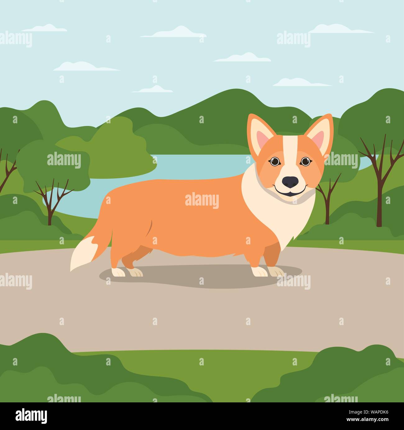 Korgi hi-res stock photography and images - Alamy