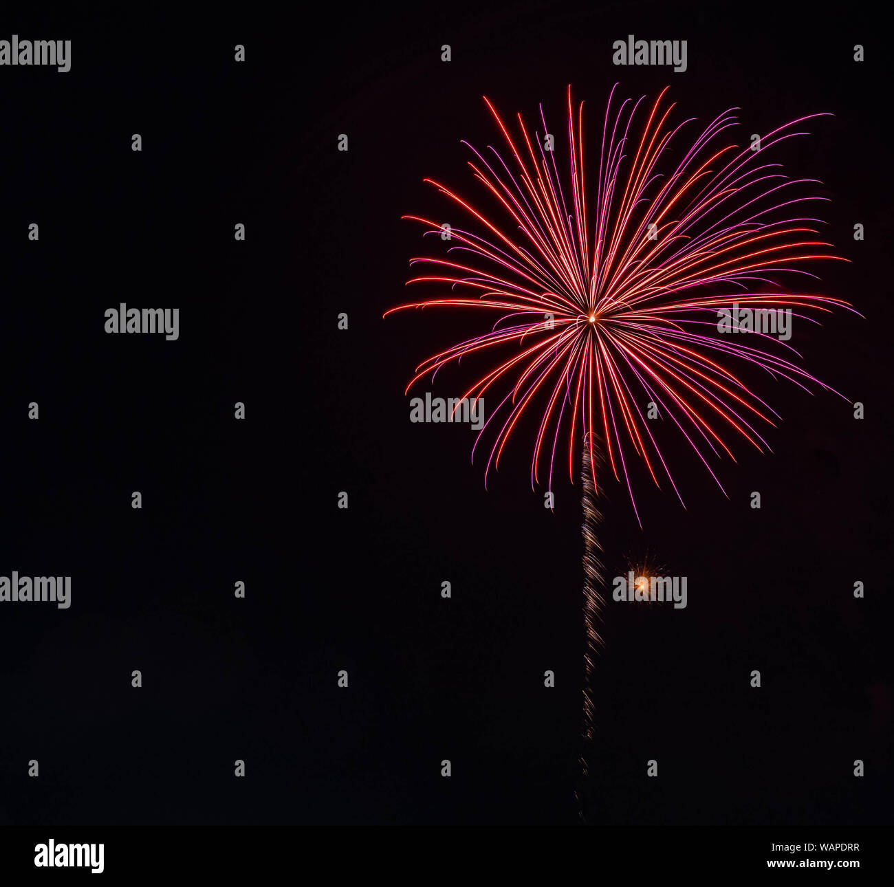 Fireworks in the night sky - Celebration Stock Photo - Alamy