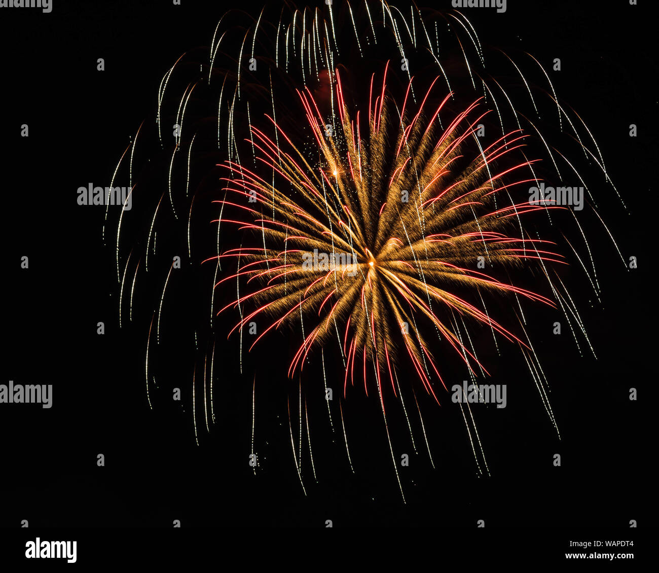 Fireworks in the night sky - Celebration Stock Photo - Alamy