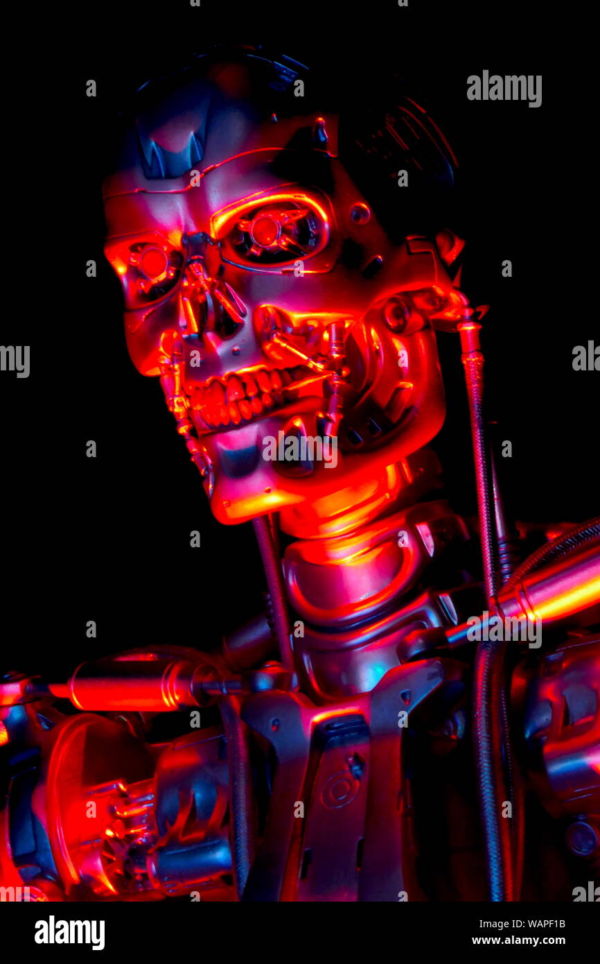 The endoskeleton of the unstoppable cyborg in the Terminator film and ...