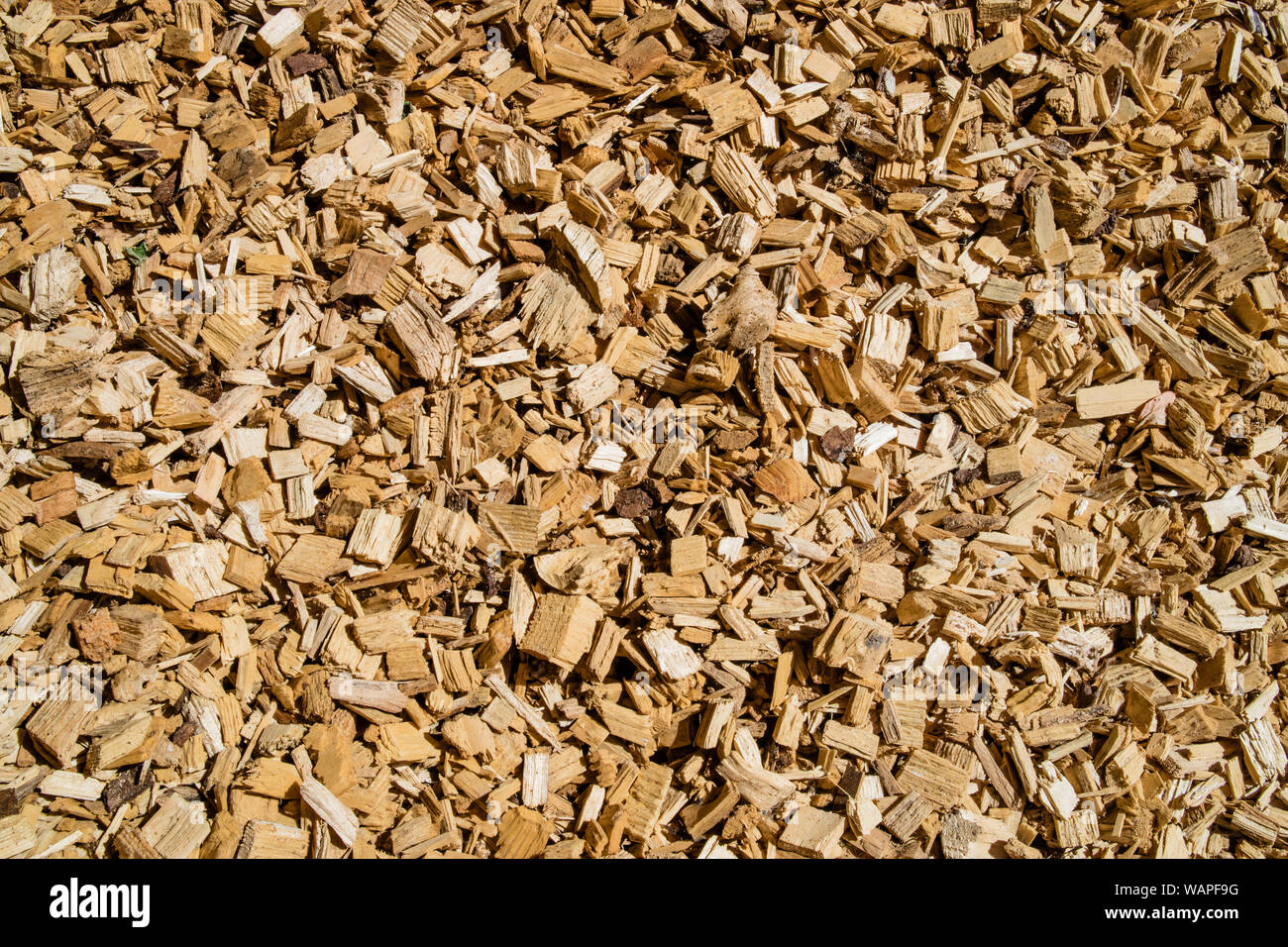 Woodchip solid fuel for Biomass plant from forest waste harvesting ...
