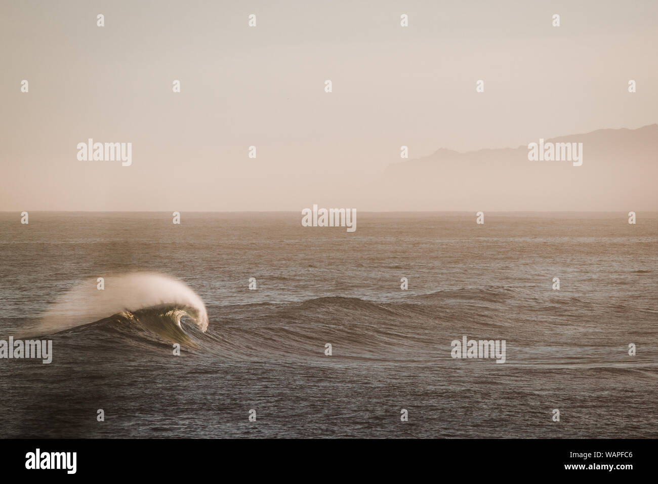 Golden breaking wave hi-res stock photography and images - Alamy