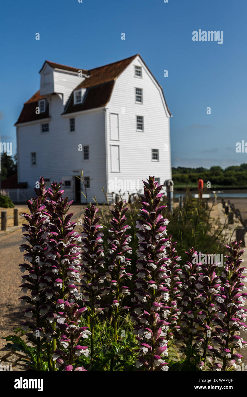 The Tide Mill in Woodbridge, Suffolk. A traditional water mill that ...