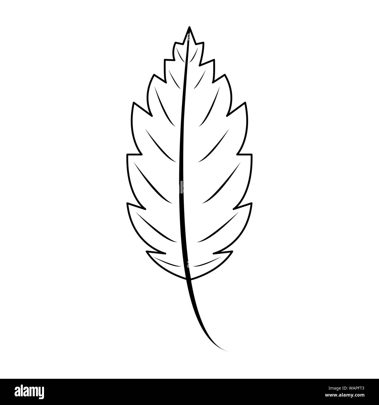 Cartoon Leaf Black And White