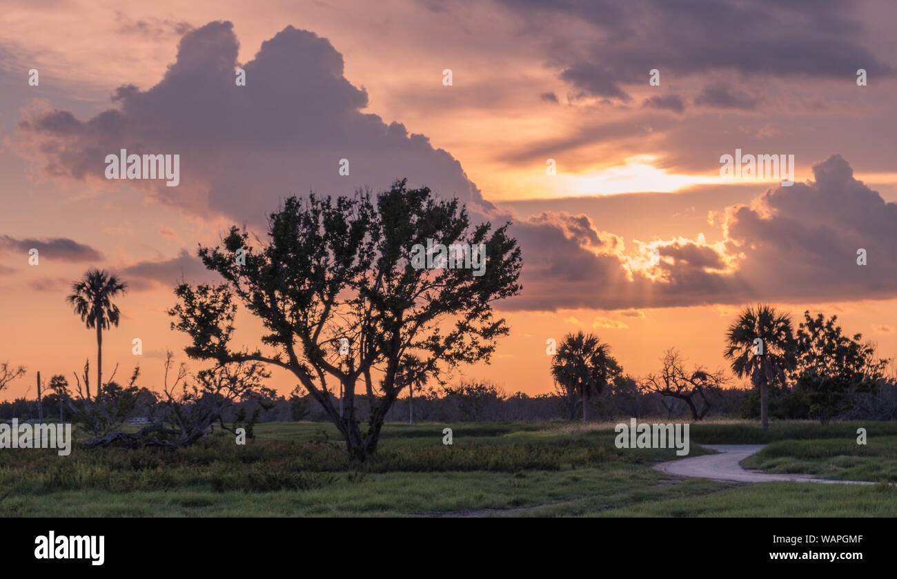 Flamingo visitor center hi-res stock photography and images - Alamy