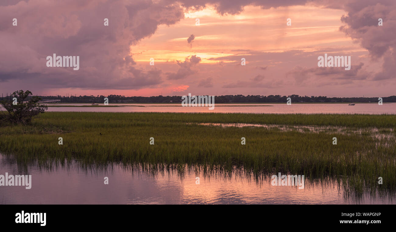 Pinckney hi-res stock photography and images - Alamy