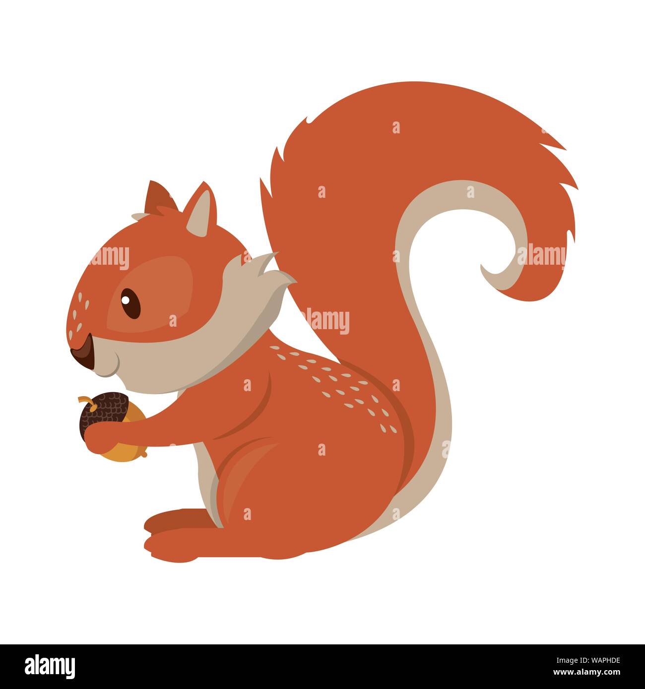 Nut eating animals Stock Vector Images - Alamy