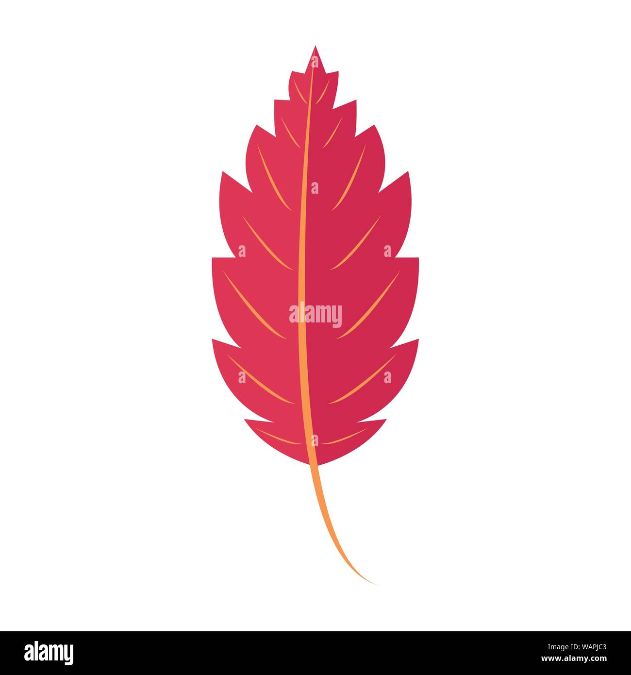 Autumn leaf season nature cartoon symbol Stock Vector Image & Art - Alamy