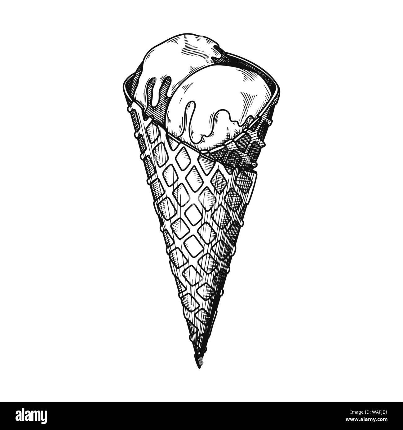 Realistic Sketch In A Waffle Cone Vector Illustration In Sketch Style