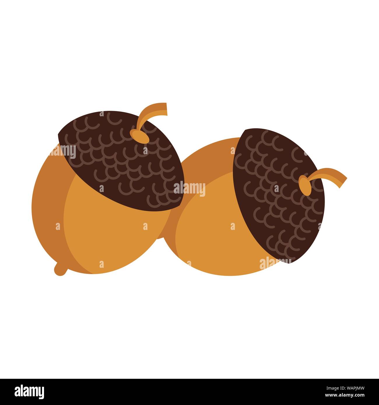 Nuts autumn snacks cartoon isolated Stock Vector Image & Art - Alamy