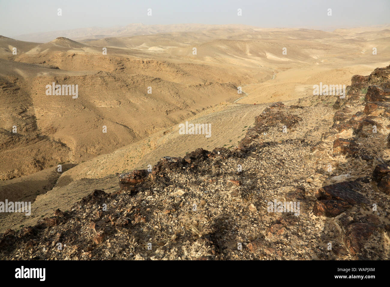 Desert of neguev hi-res stock photography and images - Alamy