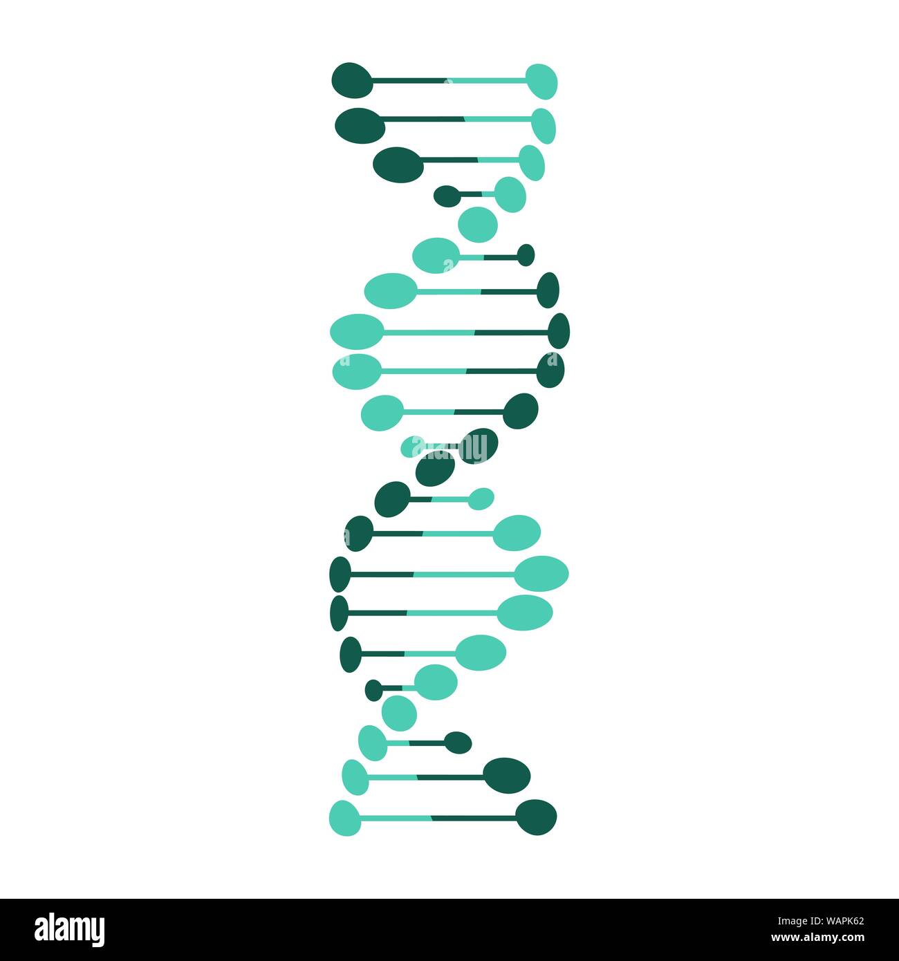 DNA symbol strand Isolated on white background Stock Vector Image & Art ...