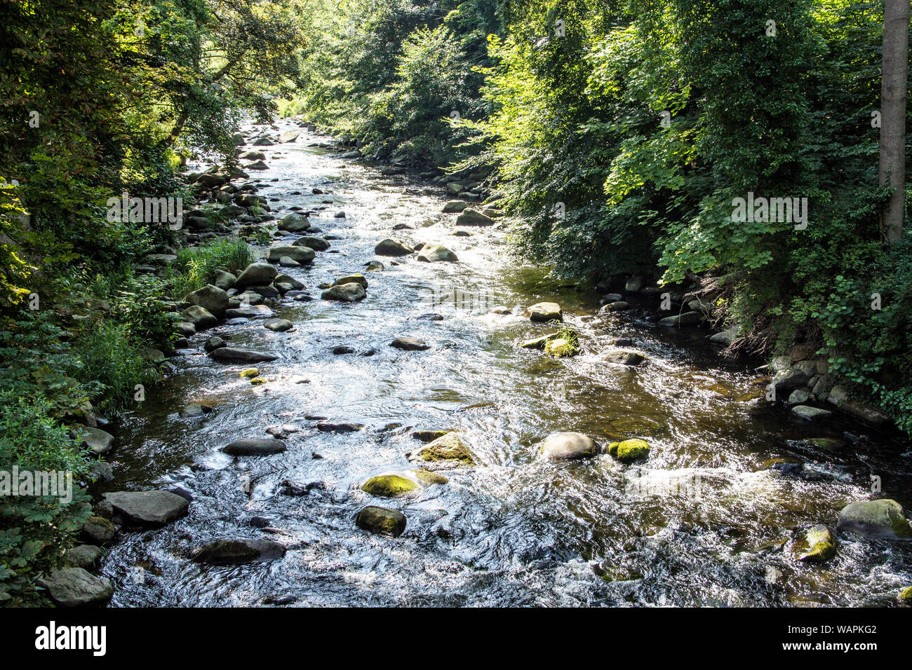 Wild romantic river through hi-res stock photography and images - Alamy