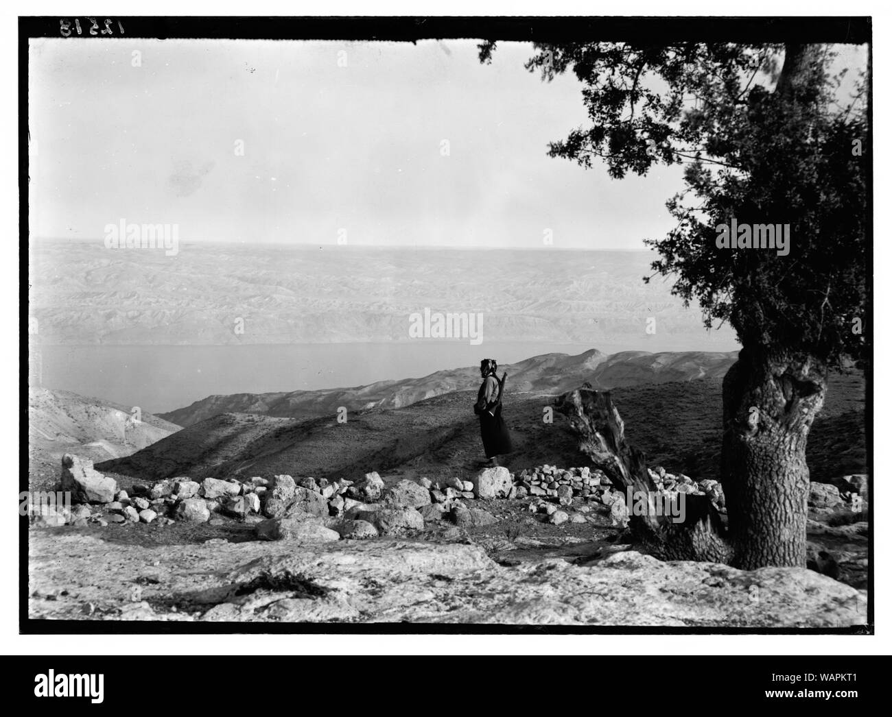 Ecosystems side by side Cut Out Stock Images & Pictures - Alamy