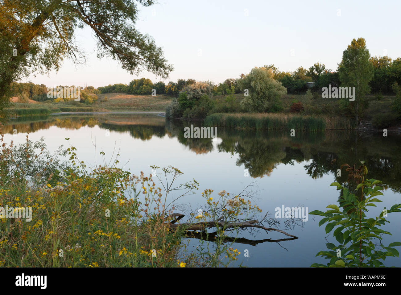 Calm pond at sunset, summertime Stock Photo - Alamy