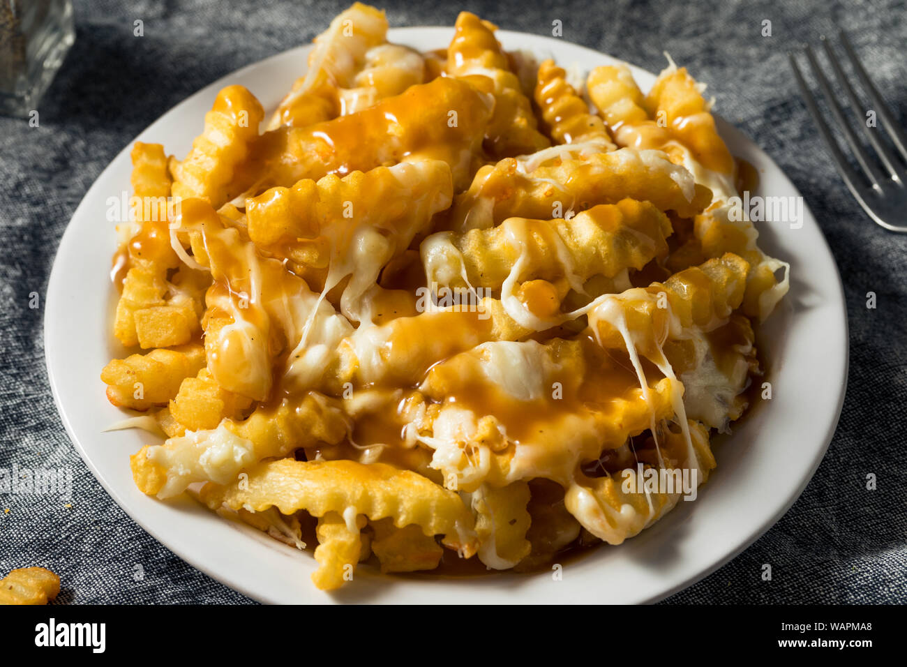 Homemade Jersey Disco French Fries with Gravy and Mozzarella Stock ...