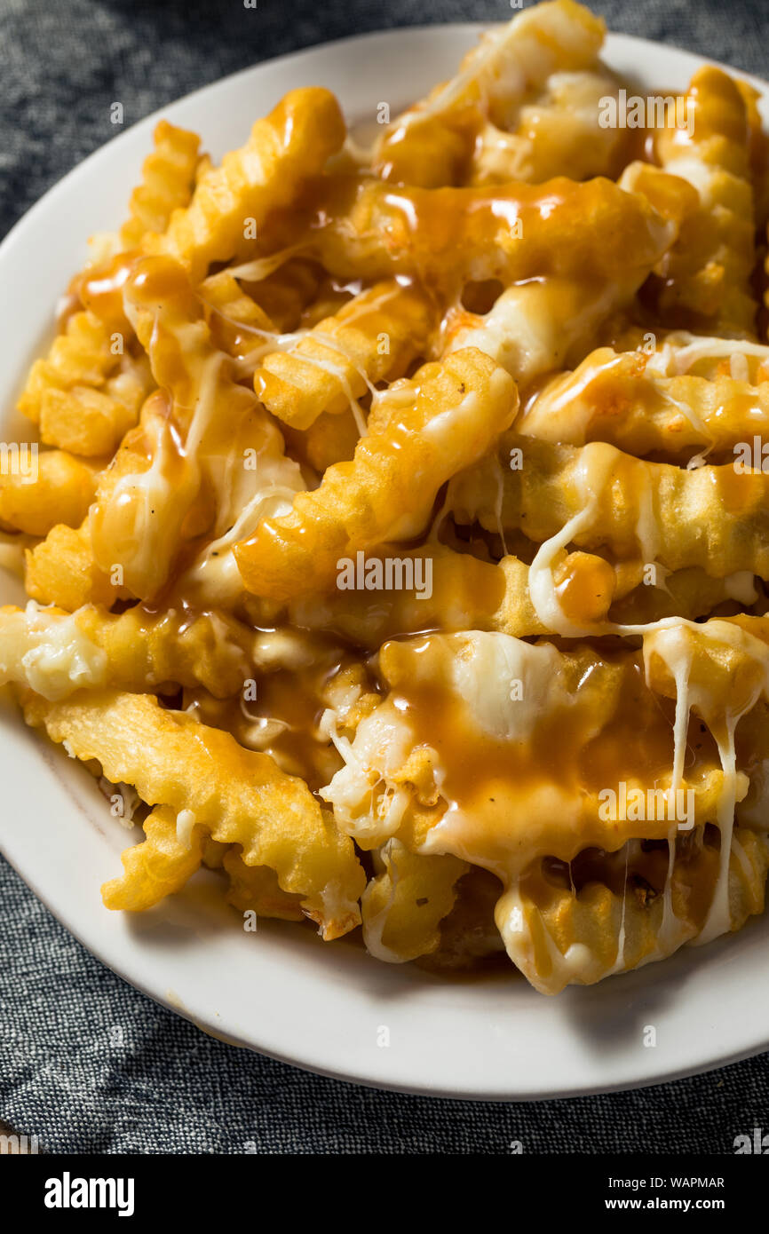 Homemade Jersey Disco French Fries with Gravy and Mozzarella Stock ...