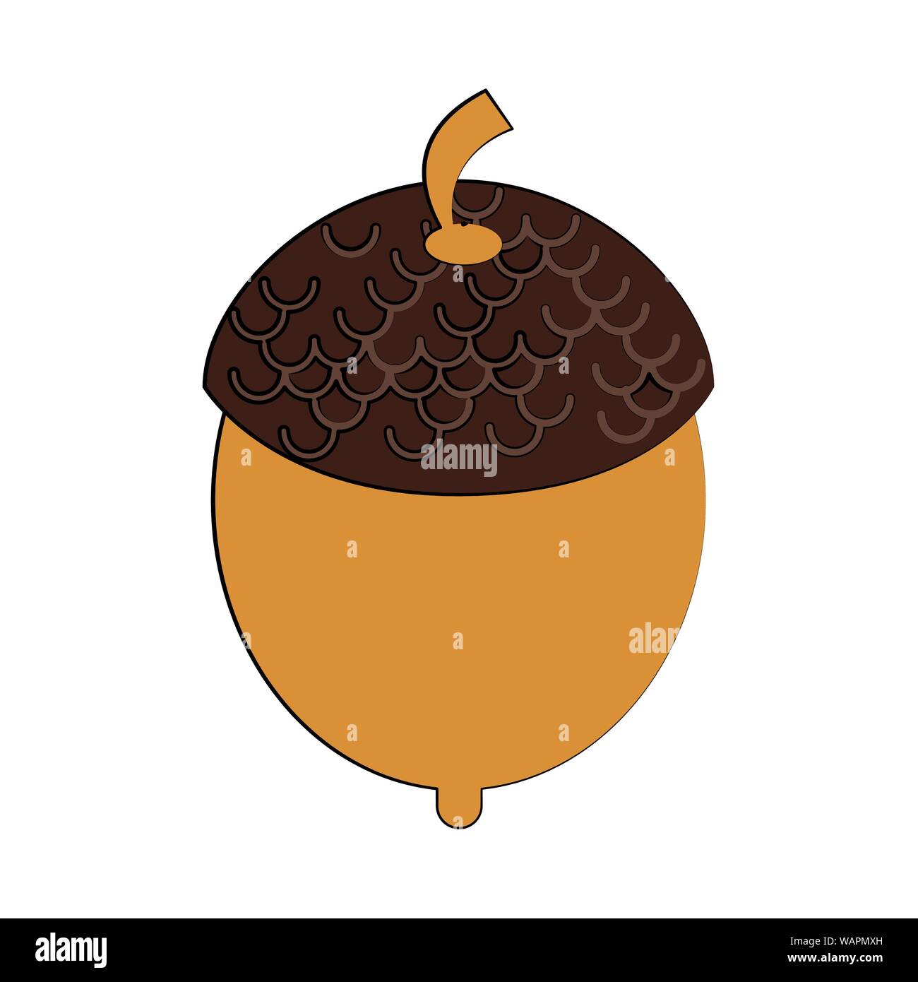 Nut autumn snack cartoon isolated Stock Vector Image & Art - Alamy
