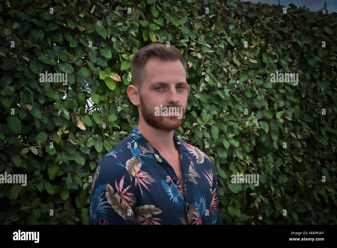 Leaves looking male model hi-res stock photography and images - Alamy