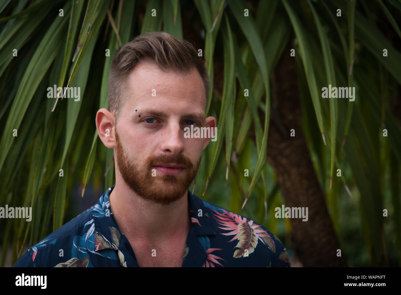 a red beard young male model portrait Stock Photo - Alamy