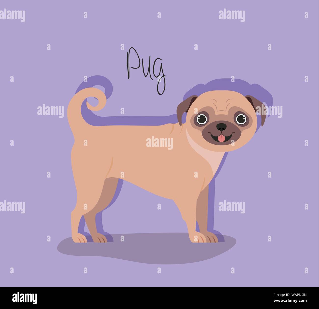 cute dog pug pet character Stock Vector Image & Art - Alamy
